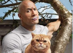 Actor Dwayne Johnson in Milk Mustache Ad